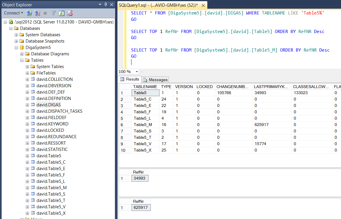 How to check DigaSystem database for consistency (MS SQL)